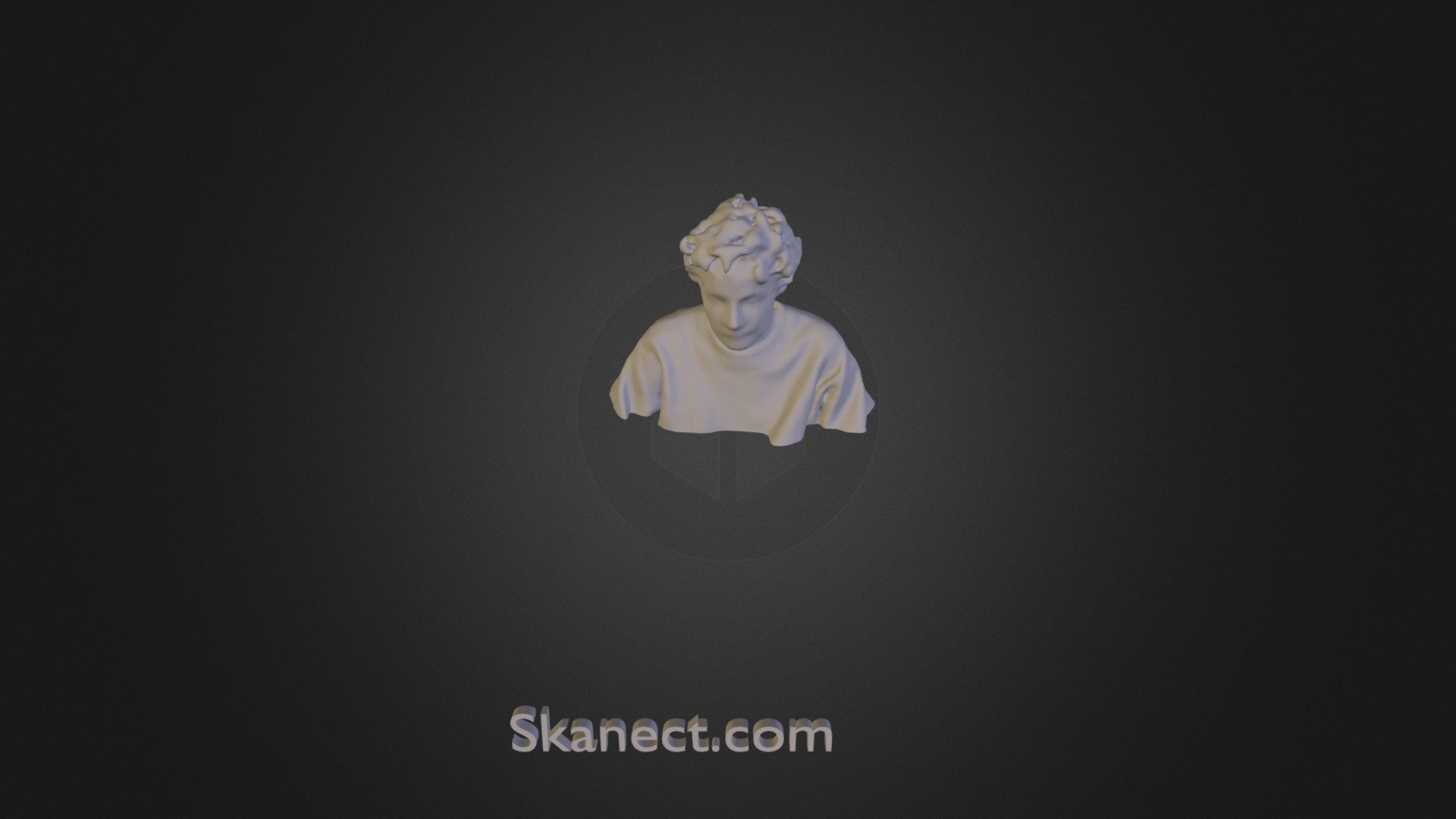 Test - 3D model by drphld [41e4bca] - Sketchfab