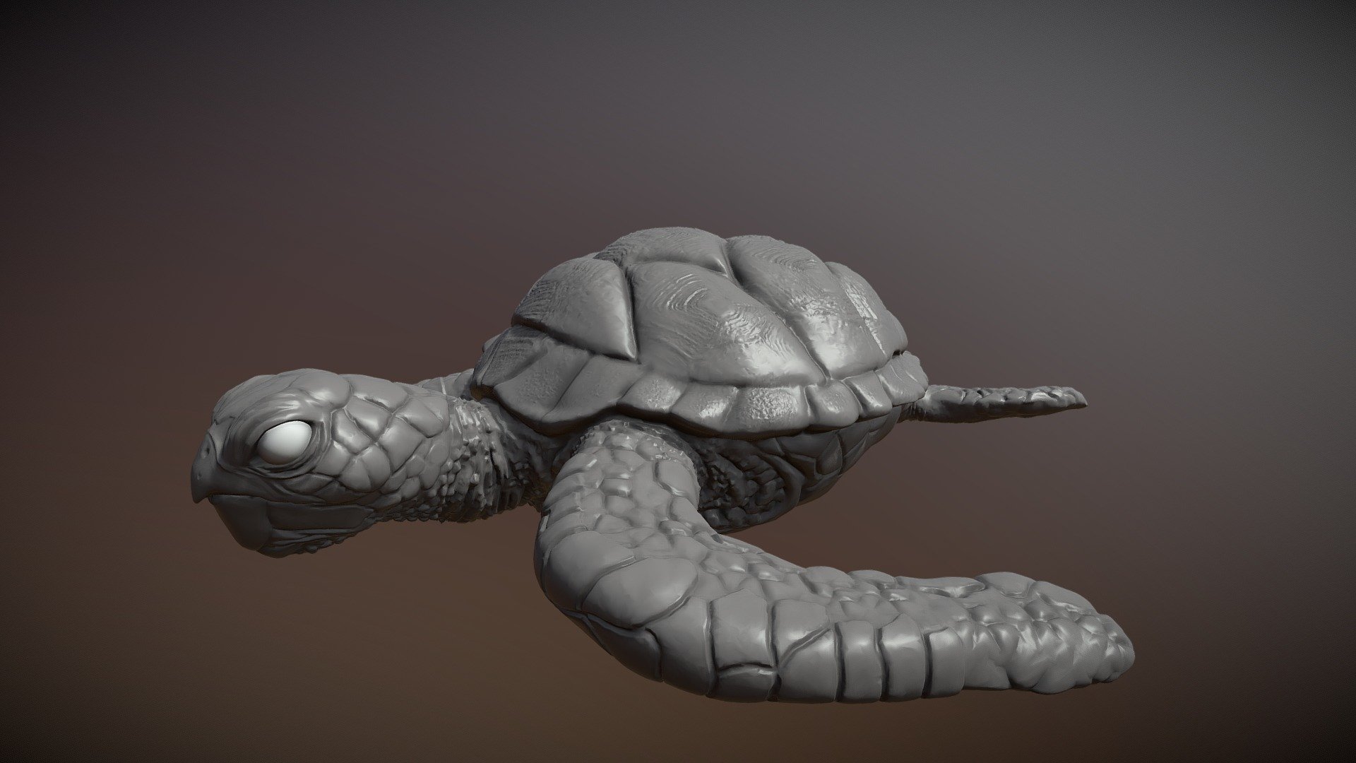 A Bumpy Tortoise - 3D model by rivilkreations [41f5dcf] - Sketchfab