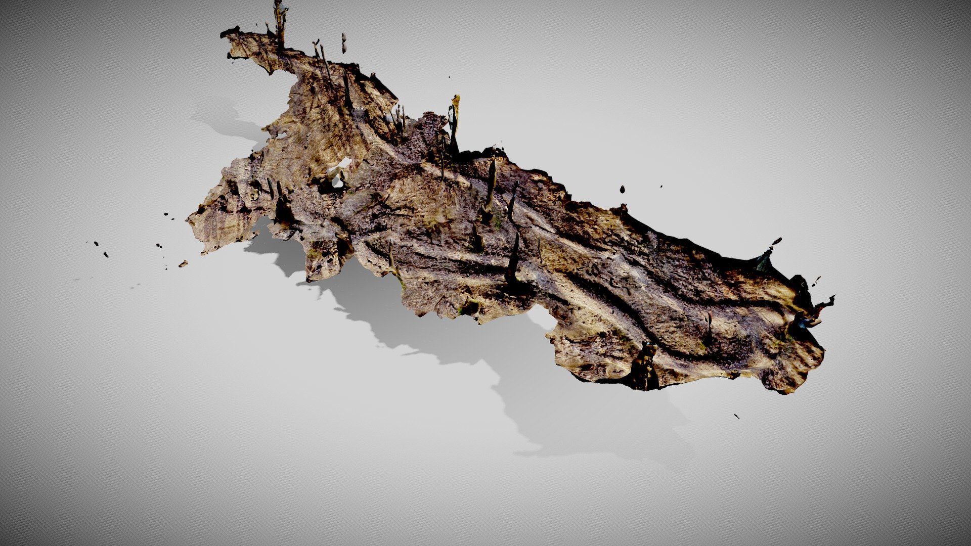 Singletrack - model - 3D model by janrutkiewicz [41f7ad3] - Sketchfab