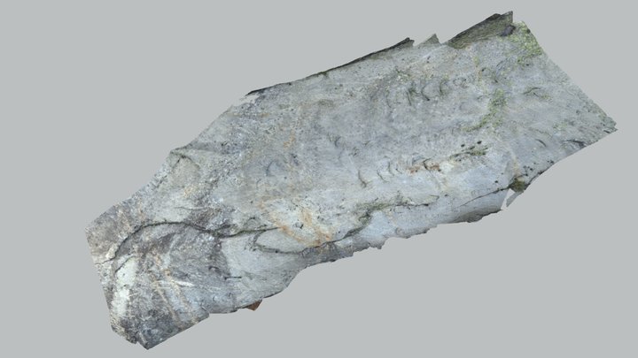 Half-moon 3D models - Sketchfab