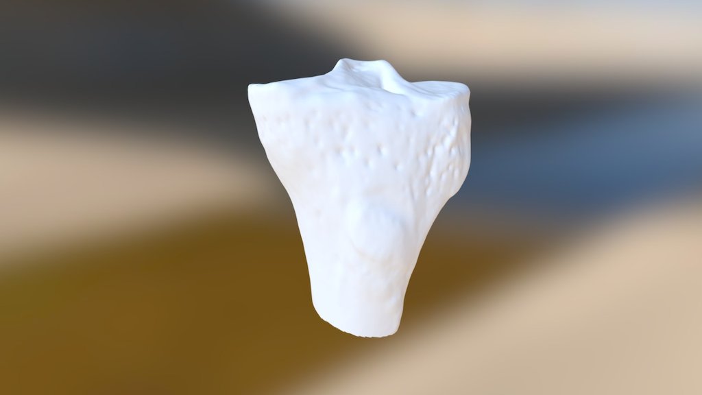 Proximal Tibia Warm - Download Free 3D model by Pere Ibáñez Gimeno ...