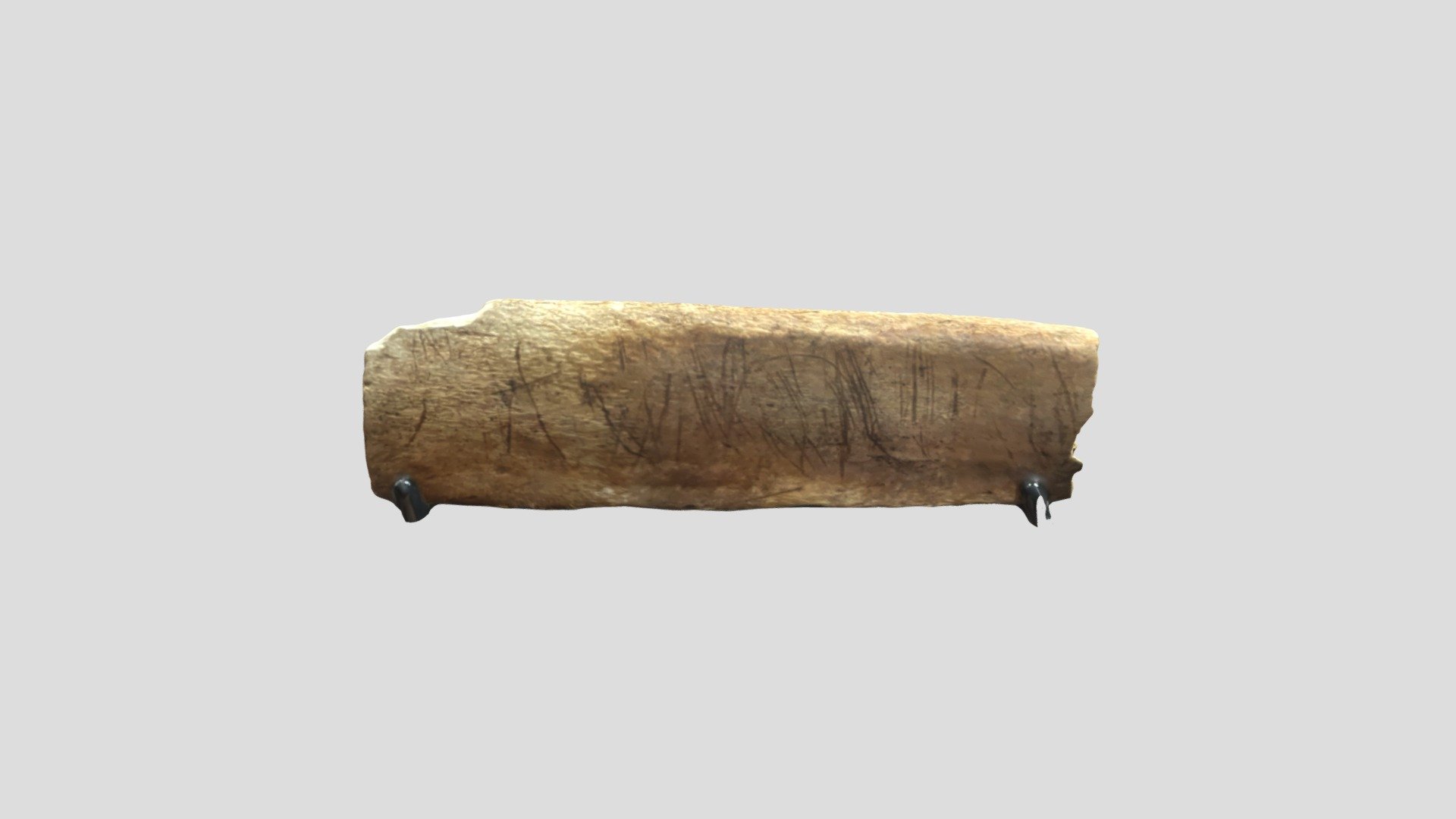 Bone (AK) - Download Free 3D model by Digital Archaeology Laboratory ...