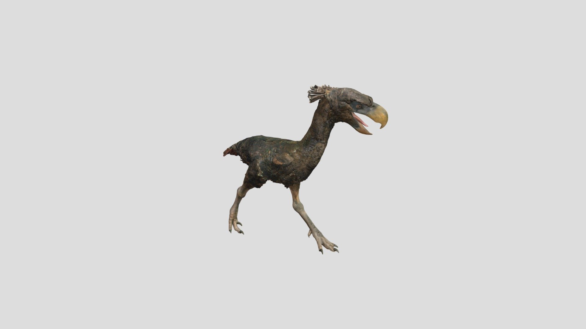 Titanis bird - Download Free 3D model by Epic_devolepment (@Epic_dev ...