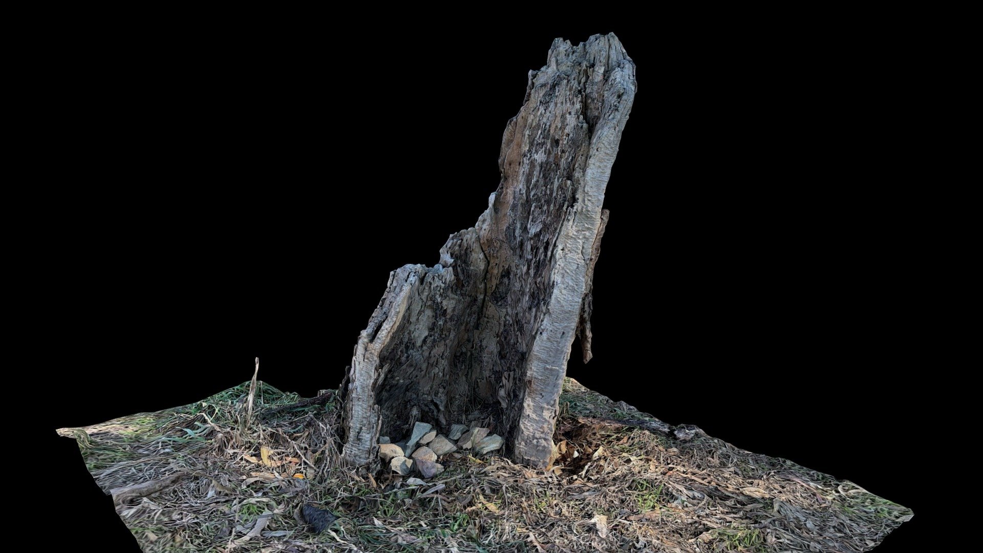 Tree Bark - Download Free 3D model by Andrei Alexandrescu (@Andrei ...