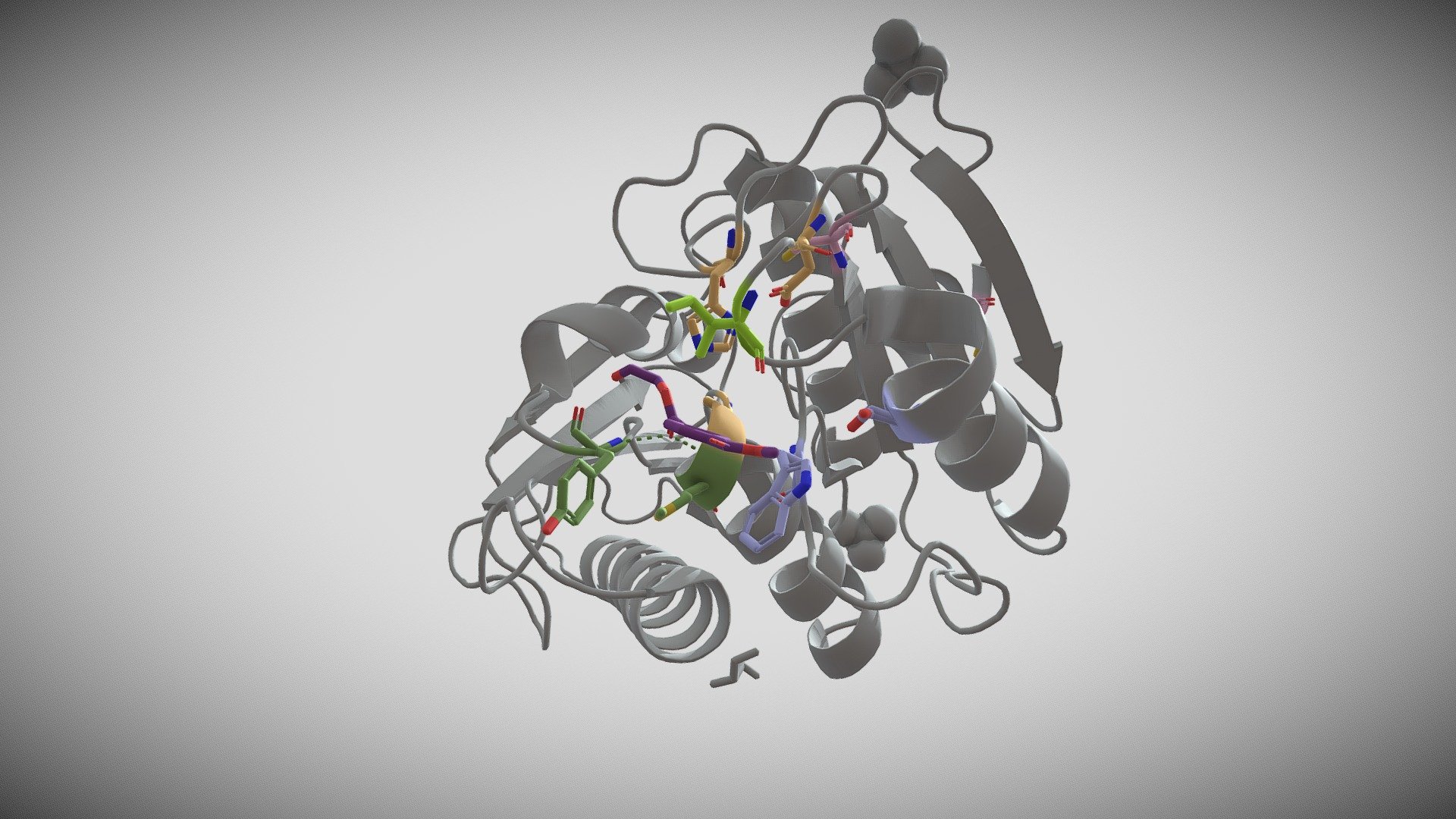 PETase Structure - 3D model by tildara [420cf2d] - Sketchfab