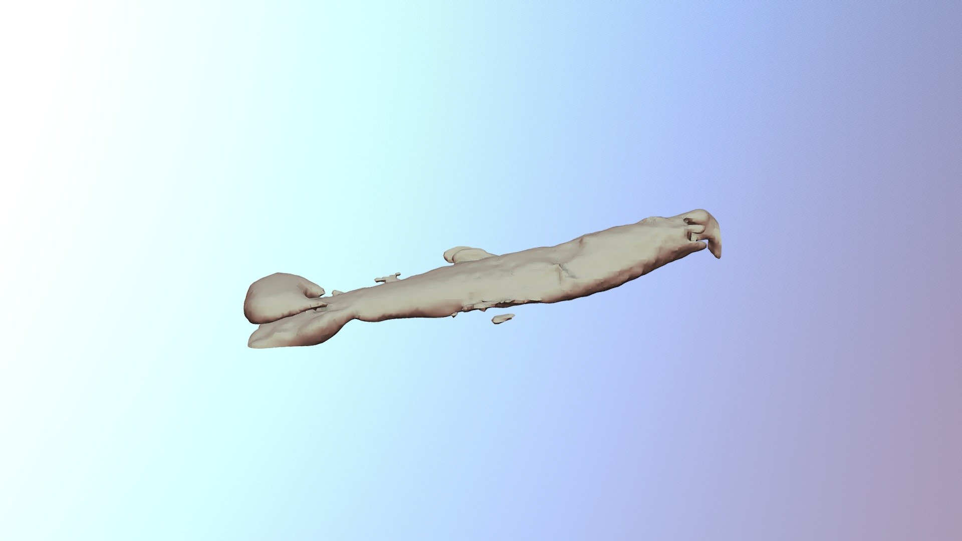 Fish Scan - 3D model by SJSUSERC [4213daf] - Sketchfab