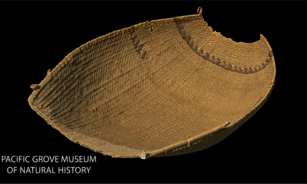 Ohlone Walaheen - 3D model by Pacific Grove Museum of Natural History ...