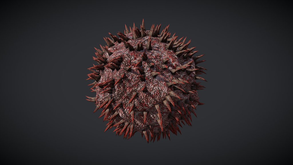 MicroBiology - A 3D model collection by ttown71 - Sketchfab