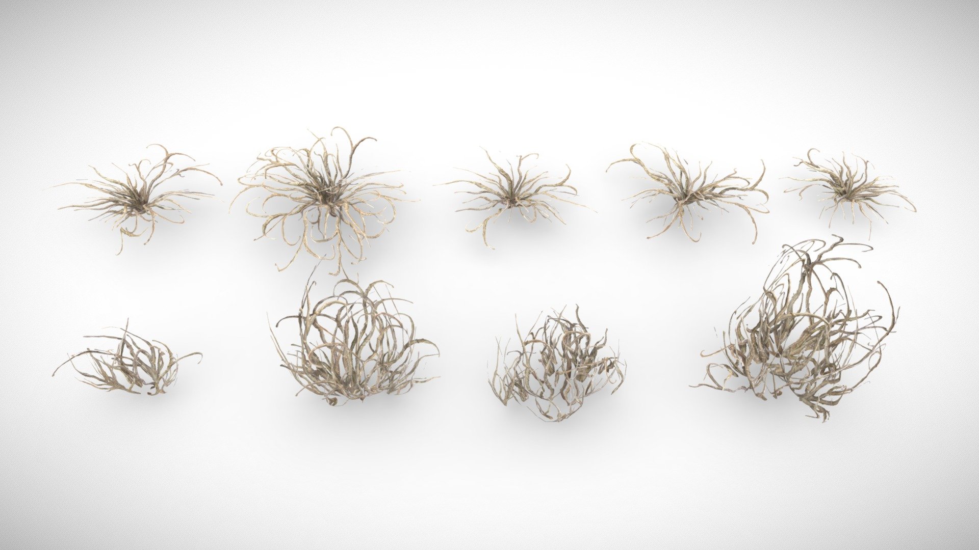 Alien Fantasy Plant - Dead Grass Bush - Buy Royalty Free 3D model by ...