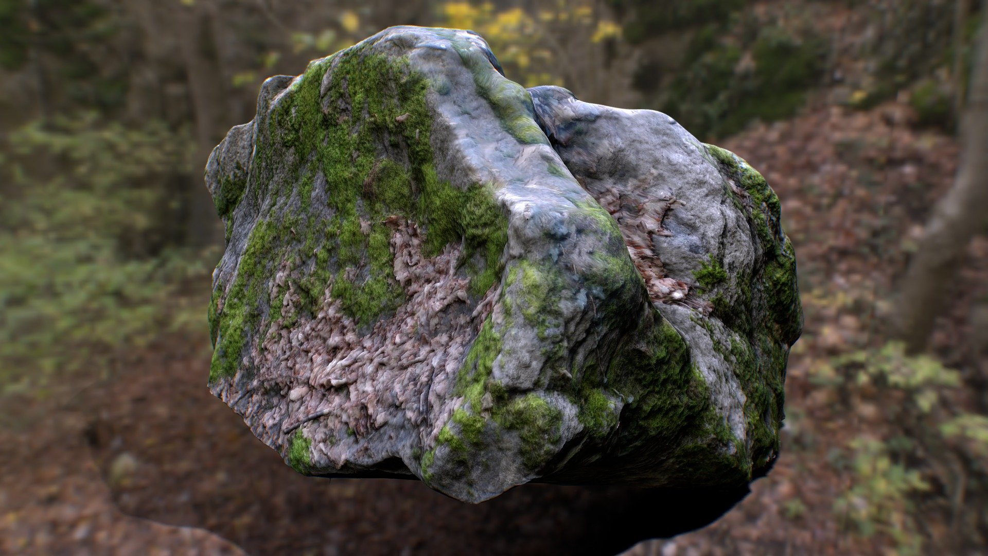 N081h Mossy Rock - Download Free 3D model by bimage [4234ee9] - Sketchfab