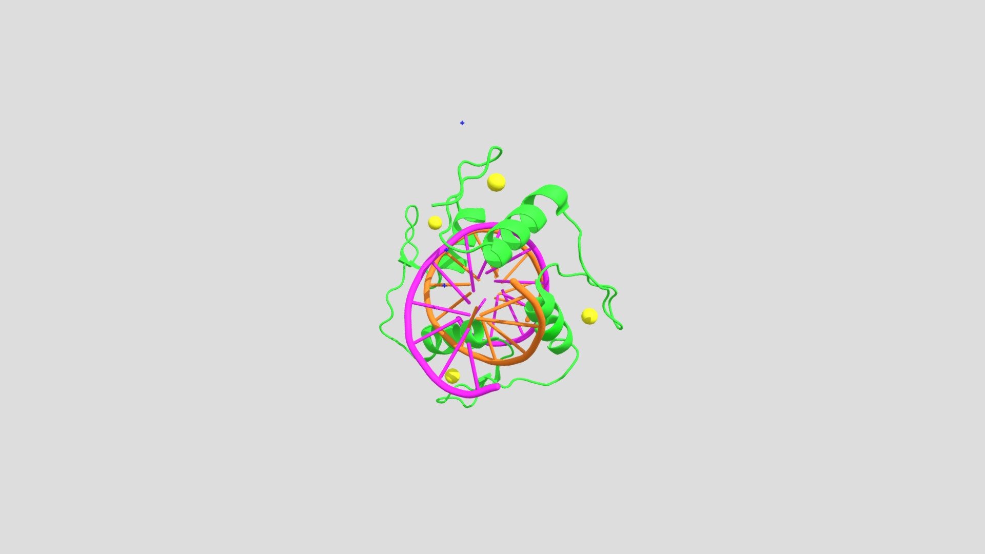 Structure of CTCF binding to human DNA - 3D model by Annelise Isaacs ...