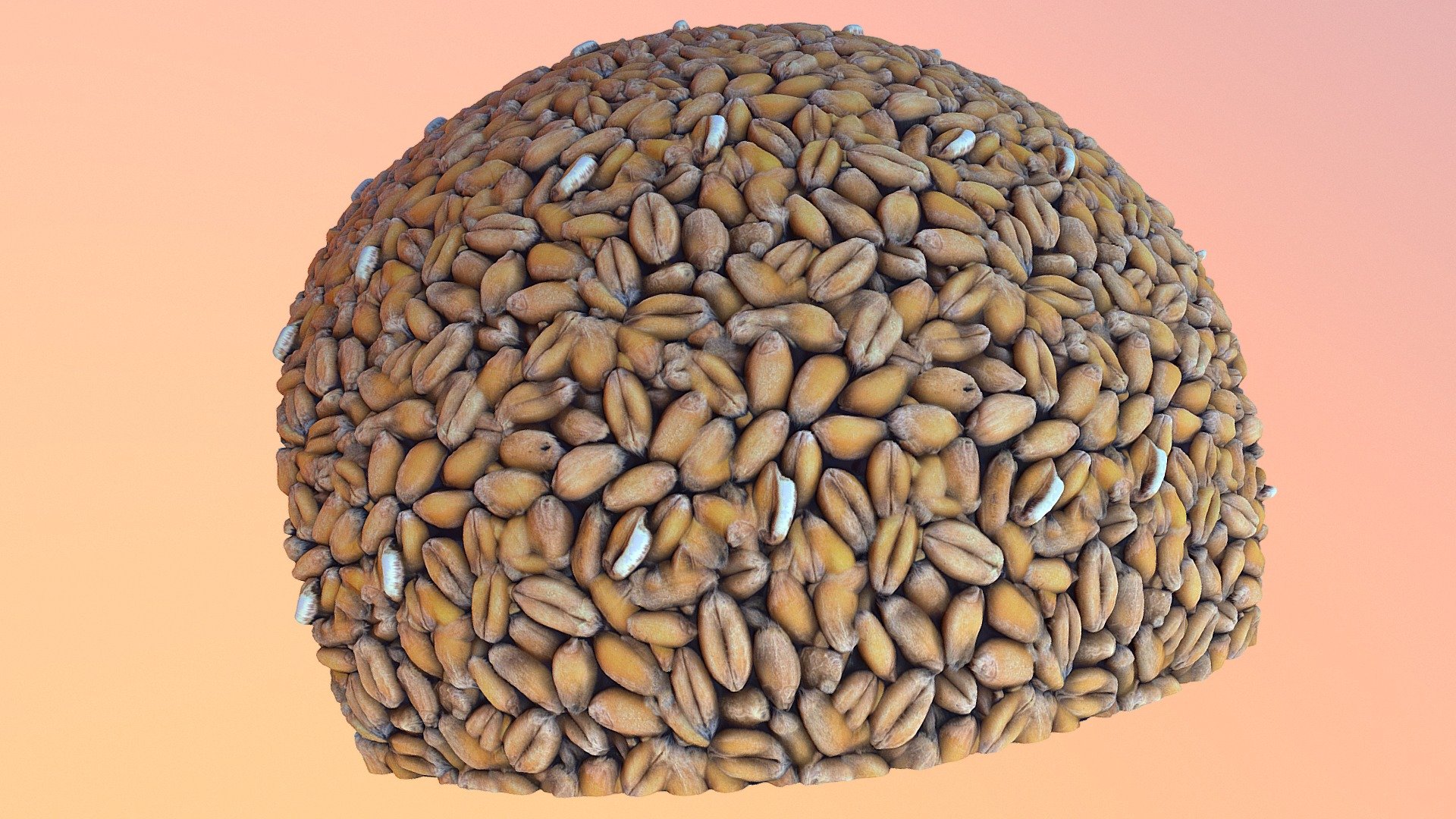 Seamless wheat grain Texture - Download Free 3D model by Arthur.Zim ...