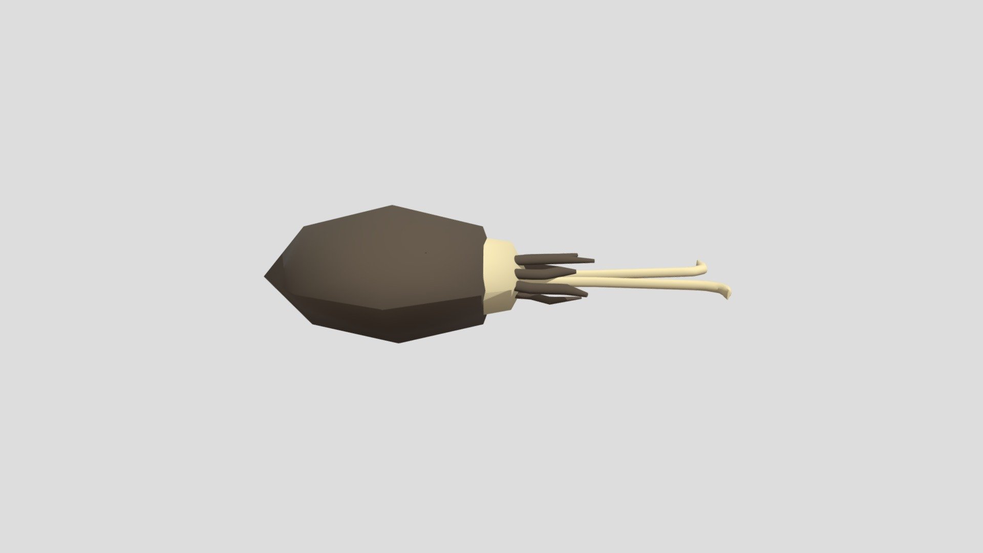 Cuttlefish from Poly by Google - 3D model by IronEqual (@ie-niels ...