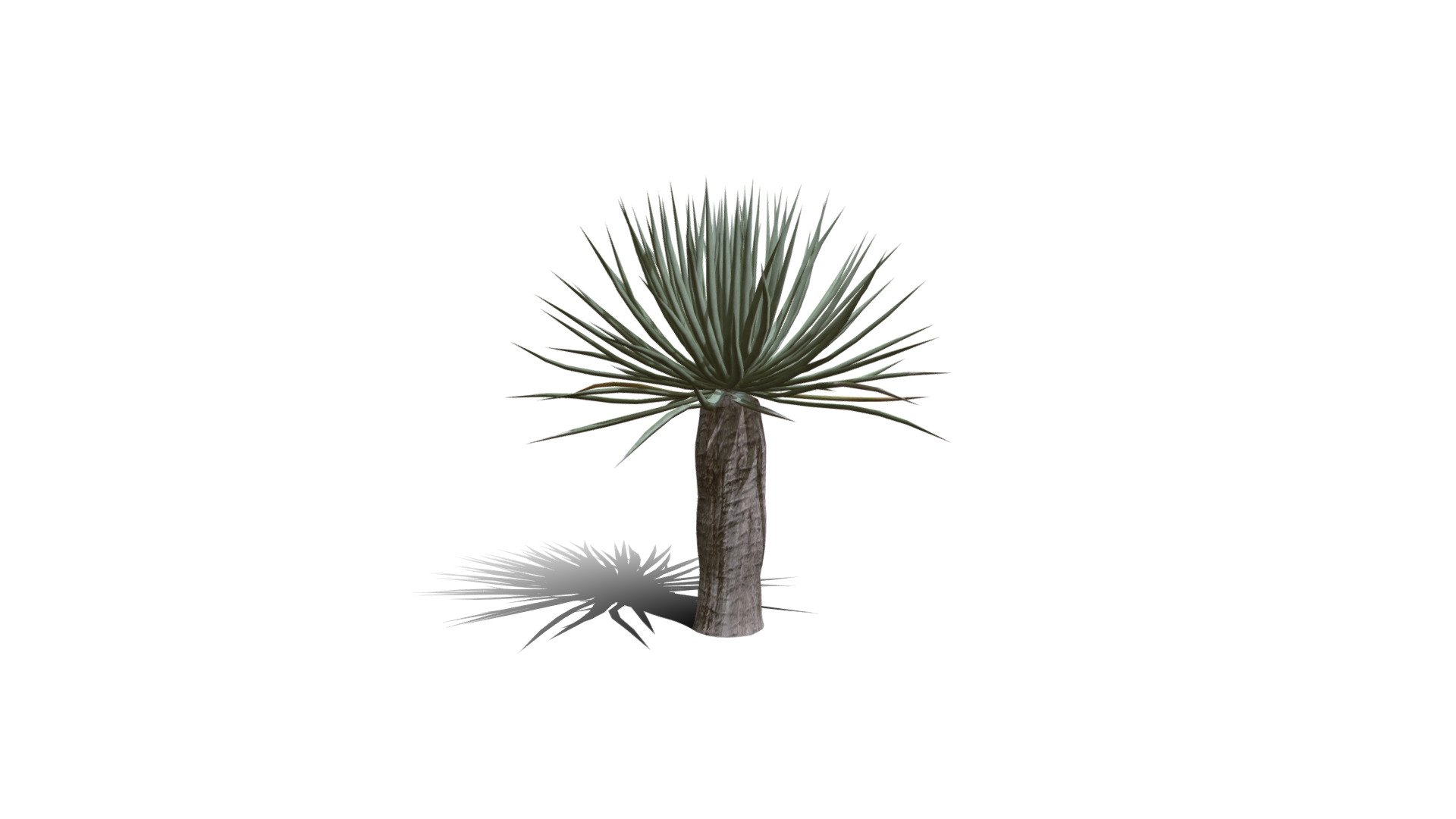Realistic HD Dragon tree (26/50) - Download Free 3D model by ...