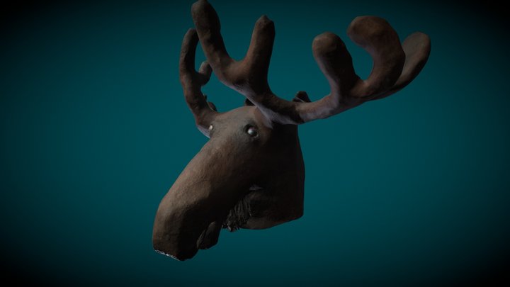 Moose 3D models - Sketchfab