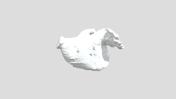 Left_atrium 3D models - Sketchfab