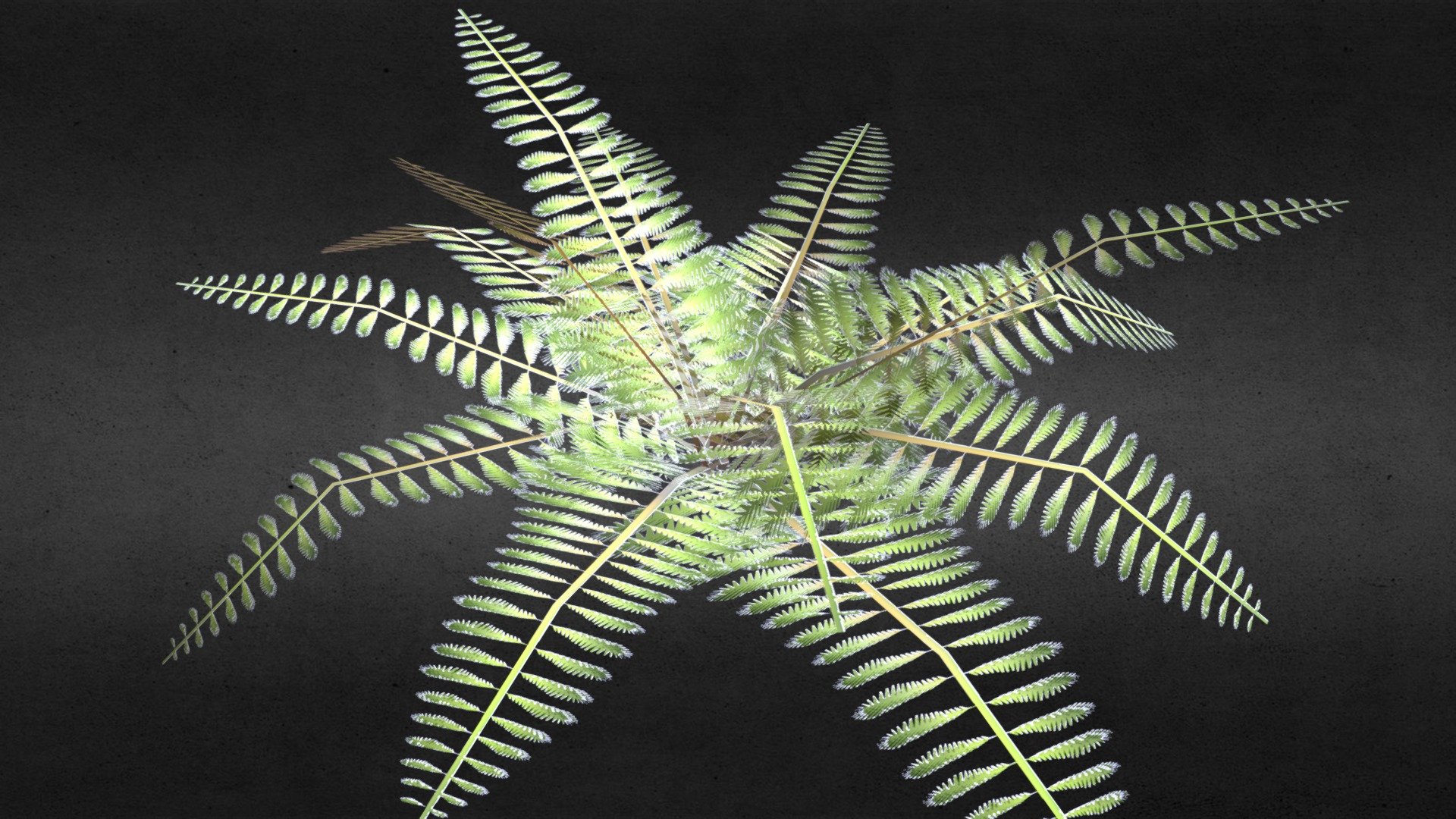 Bracken - 3D model by Michaela Phipps (@mphippsart) [425535f] - Sketchfab