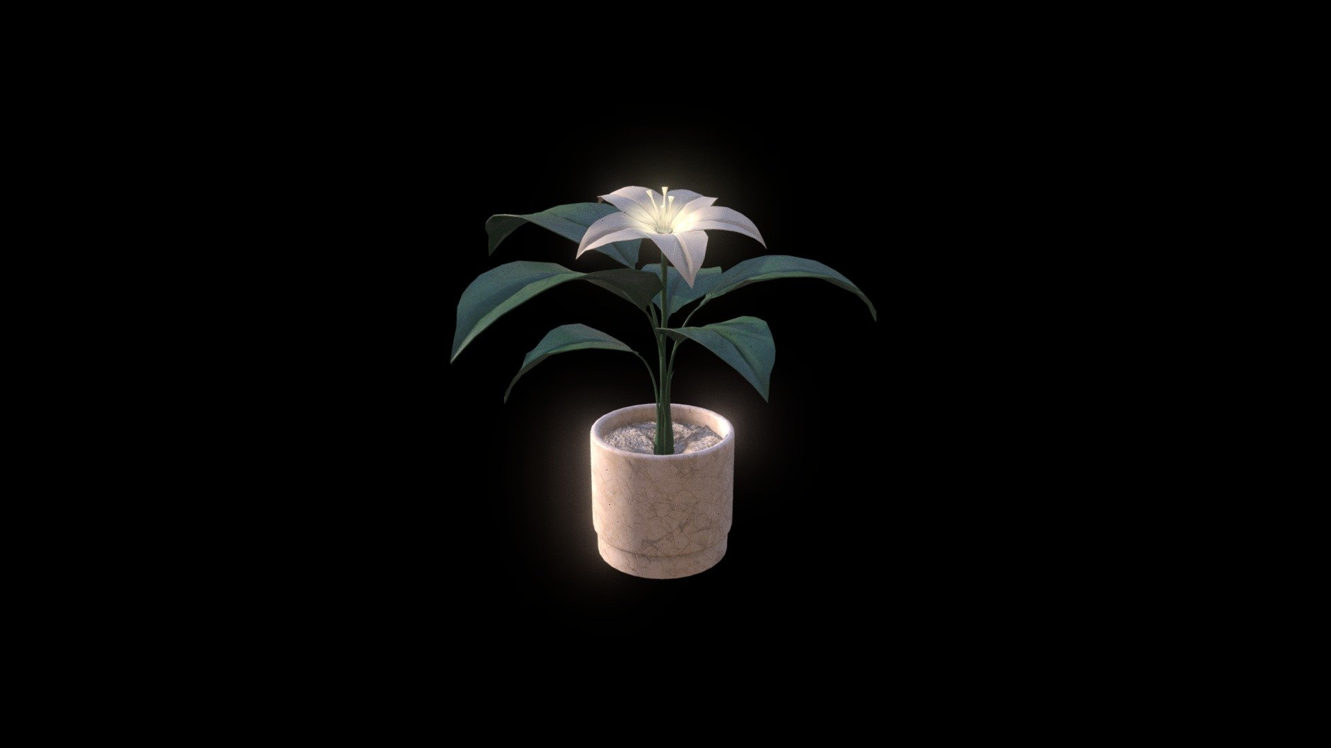 Magic flower LP - Download Free 3D model by caridorka [4257c82] - Sketchfab