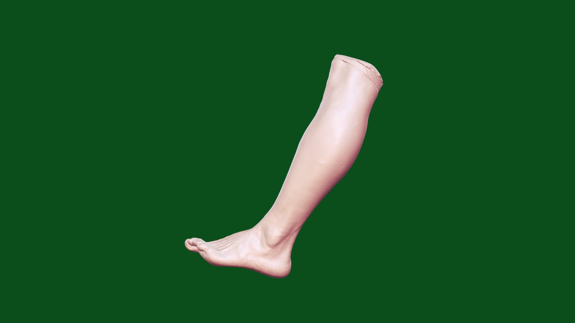 Leg-foot - 3D model by Nancy/Lanzi Luo (@Thunk3D-Nancy) [425ba85 ...