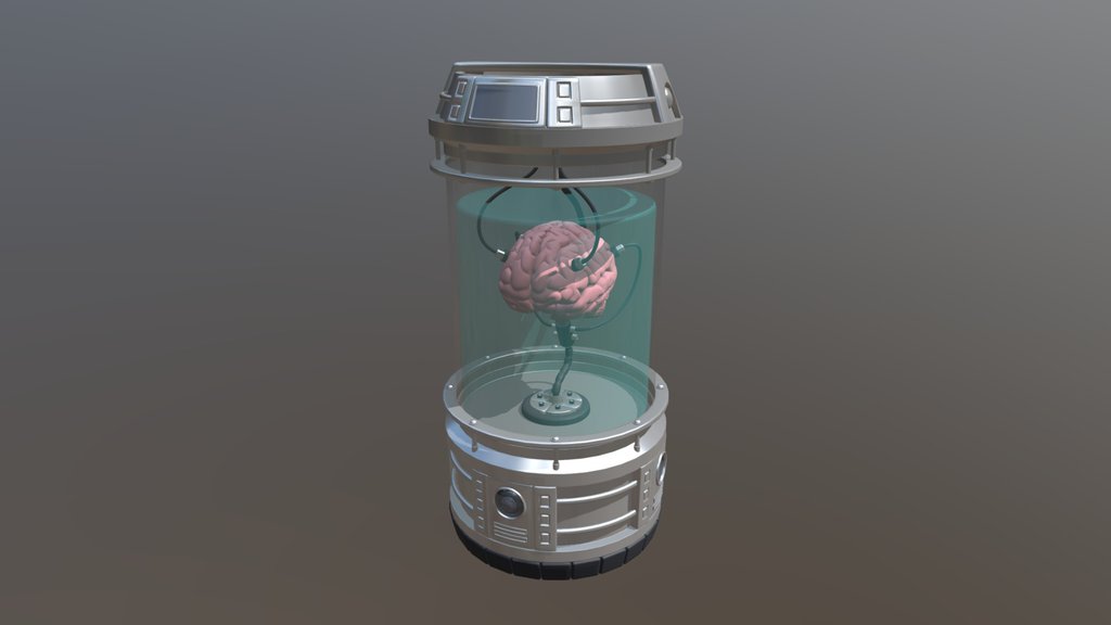 brain - A 3D model collection by emward4 - Sketchfab