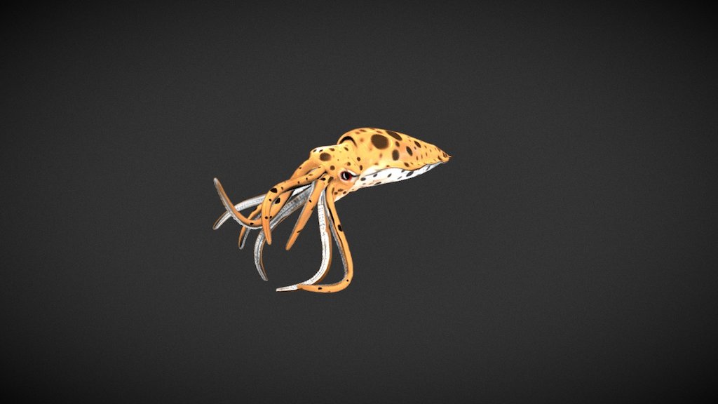 Cuttlefish - 3D model by Alexander Chaschin (@alexander78) [425ff4c ...