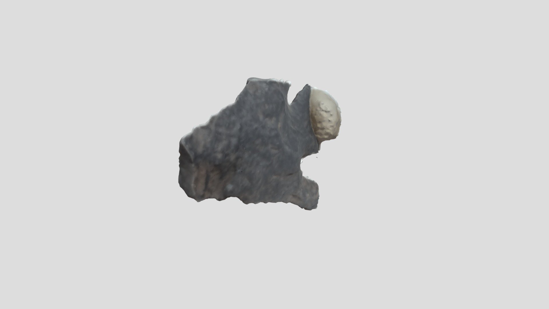 Artifact 3_Final - 3D model by meganharrisusib [426797e] - Sketchfab