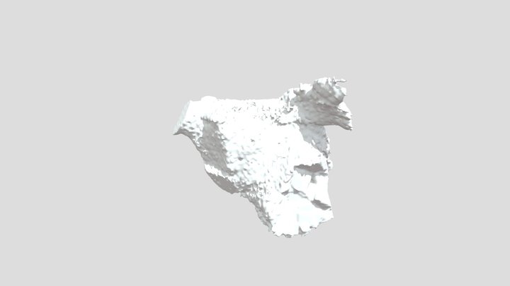 Left_atrium 3D models - Sketchfab