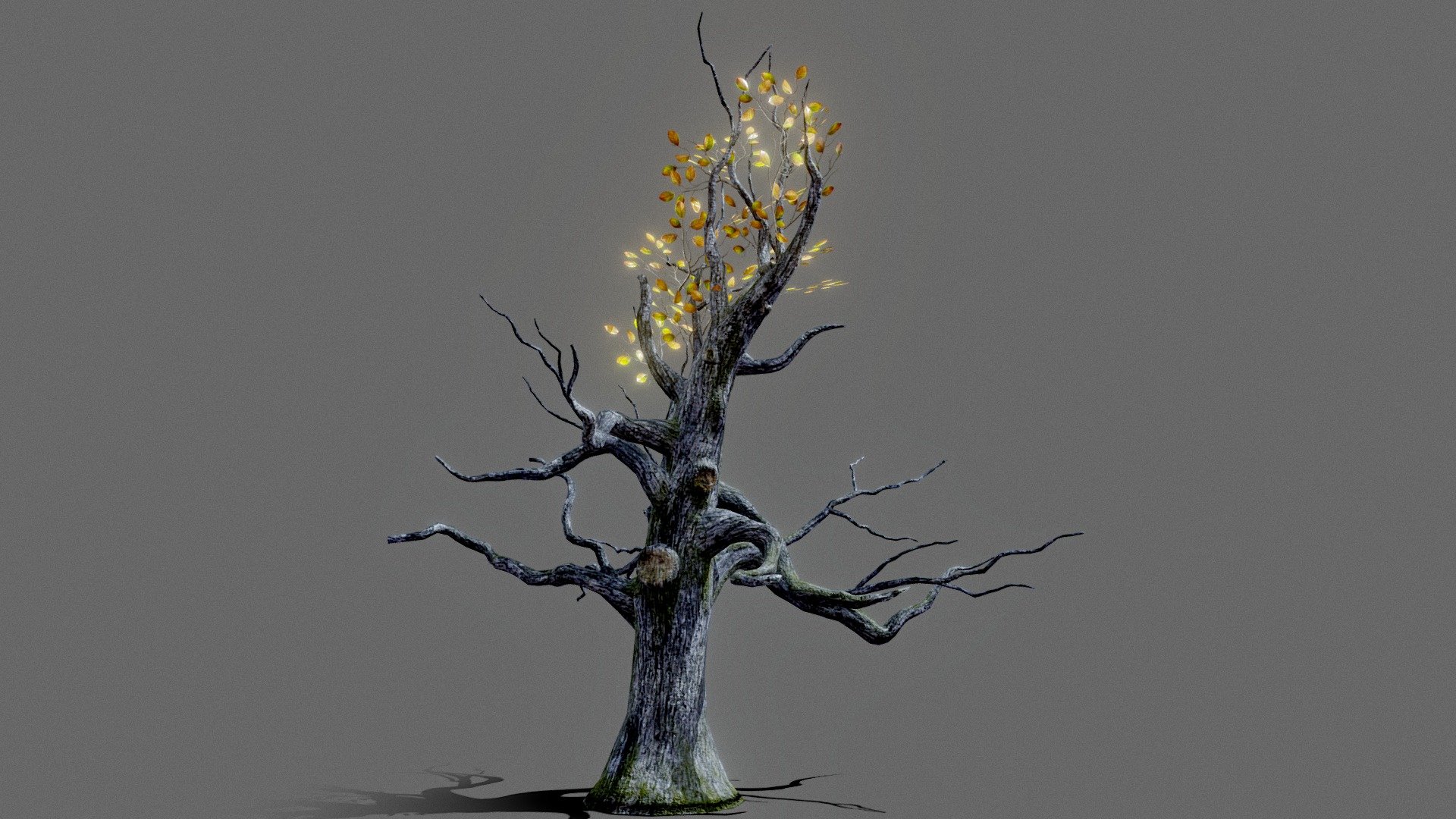 Old Tree - 3D model by liancu (@akasquirrelboy) [4278faa] - Sketchfab