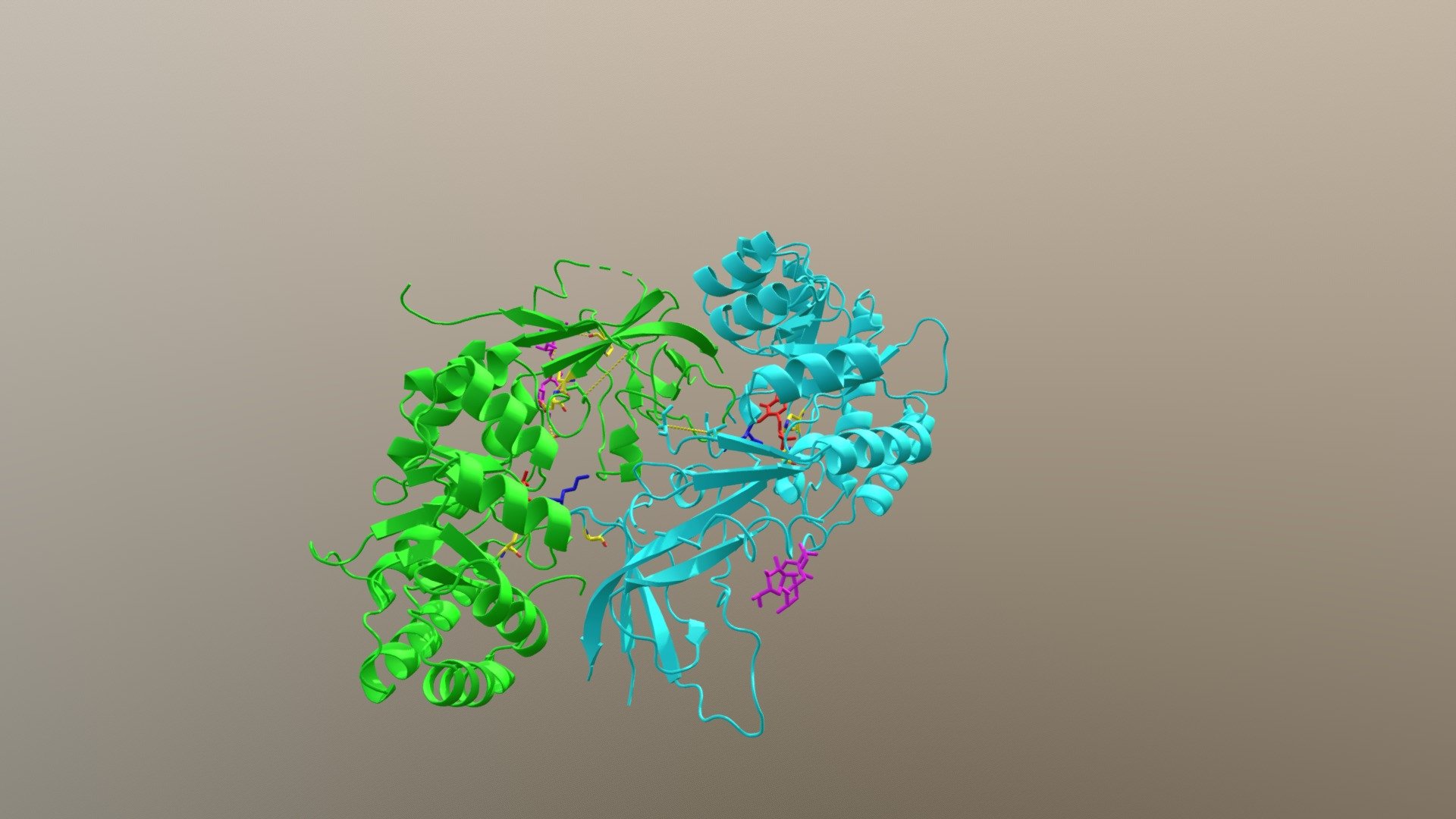Ornithine decarboxylase with Geneticin - 3D model by efre8678 (@Emily ...