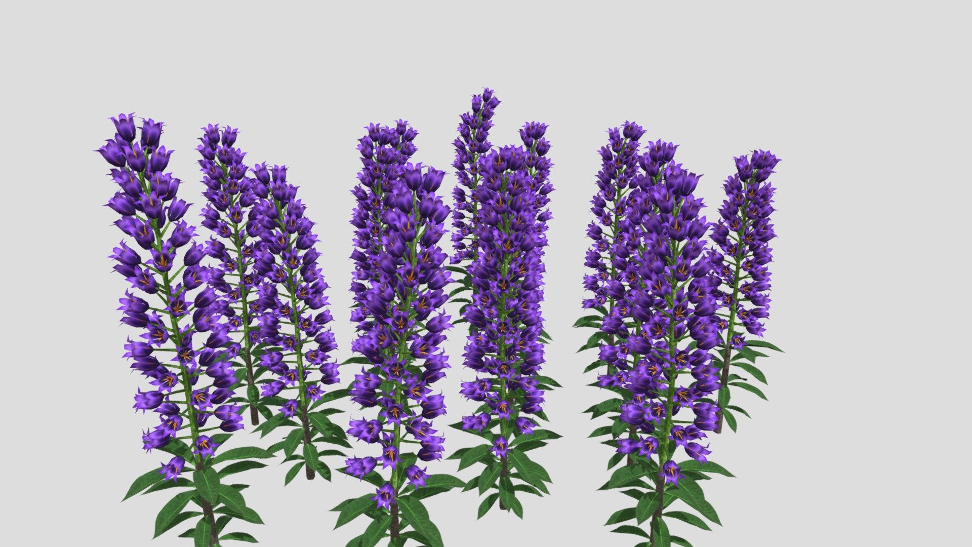 Lapinus Flower 3d model - Buy Royalty Free 3D model by KIZILBOGA ...