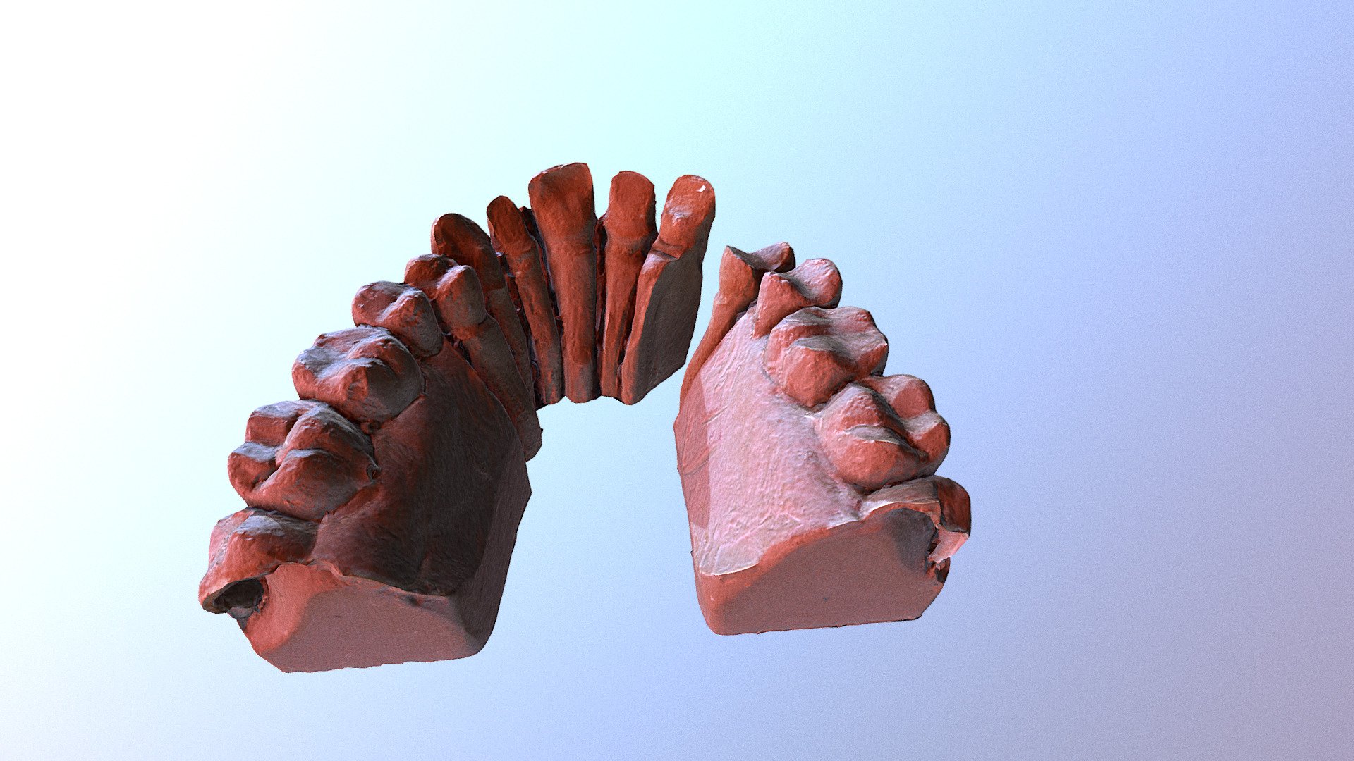 Teeth - 3D model by Mantas Talmantas (@mantasT) [4282f68] - Sketchfab