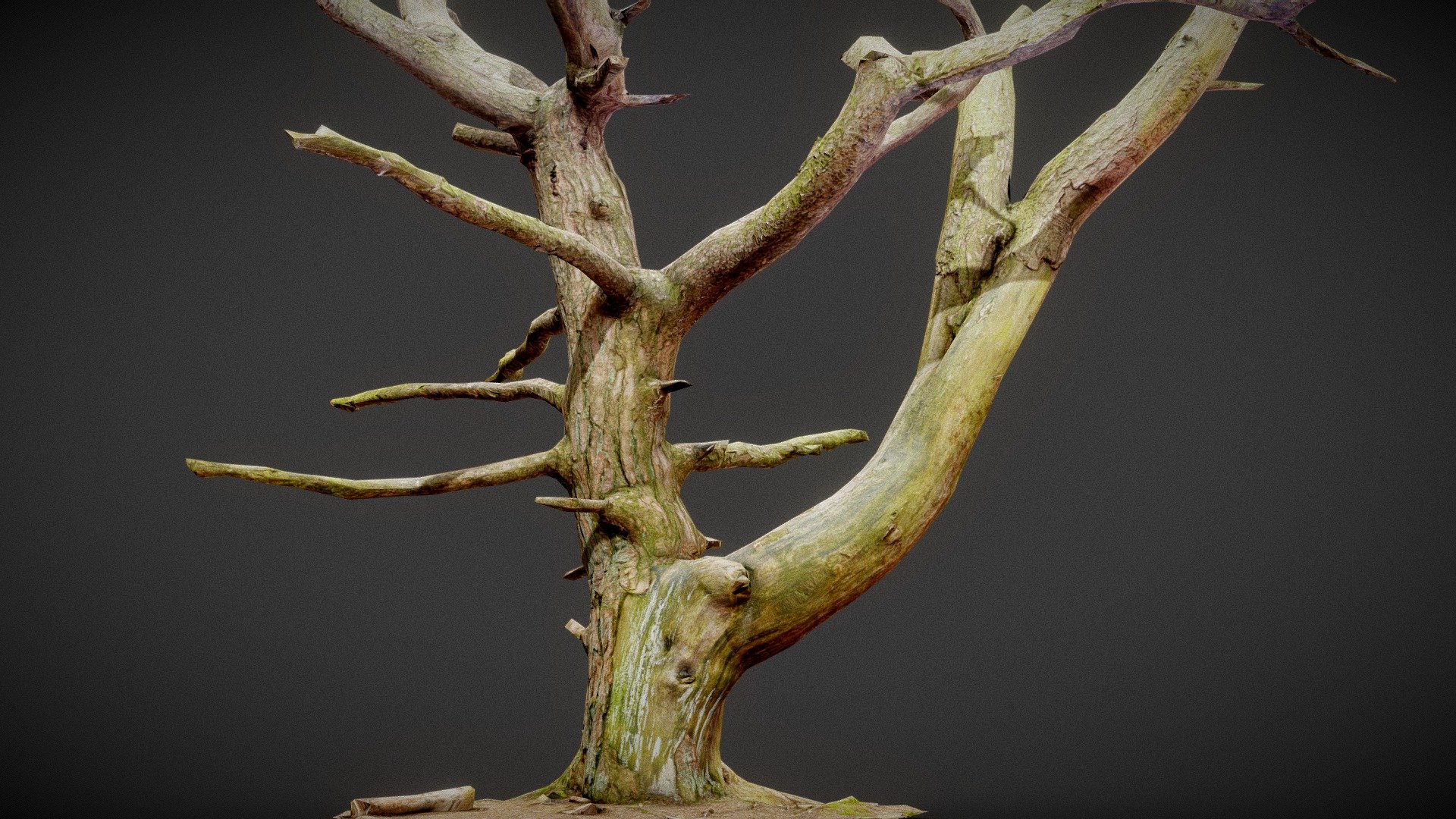 Dancing Tree - Buy Royalty Free 3D model by Polygonal Miniatures ...
