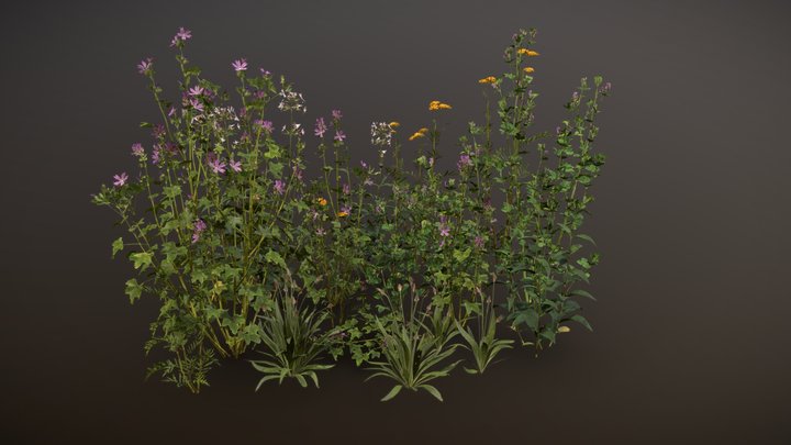 Weed 3D models - Sketchfab