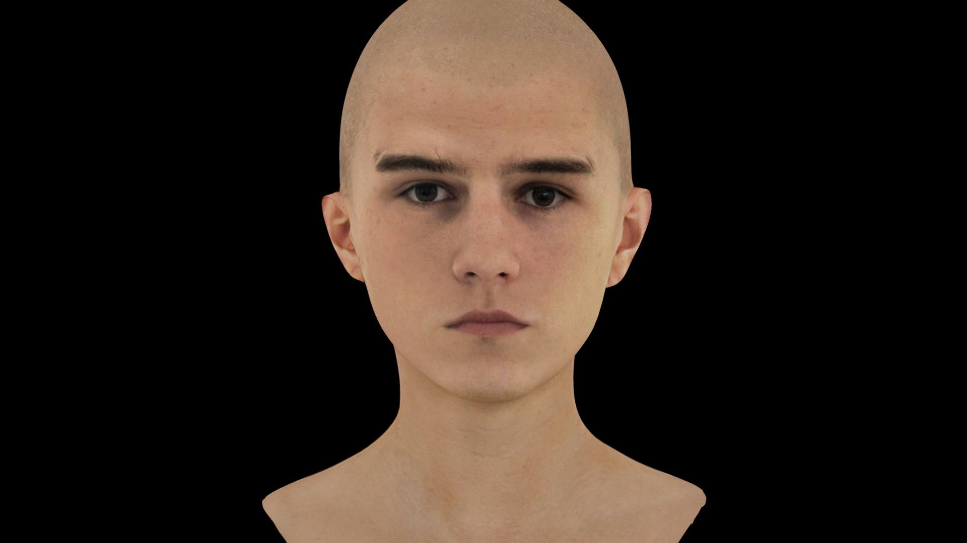 Human Dignity Collection | www.acuteline.com - Download Free 3D model ...