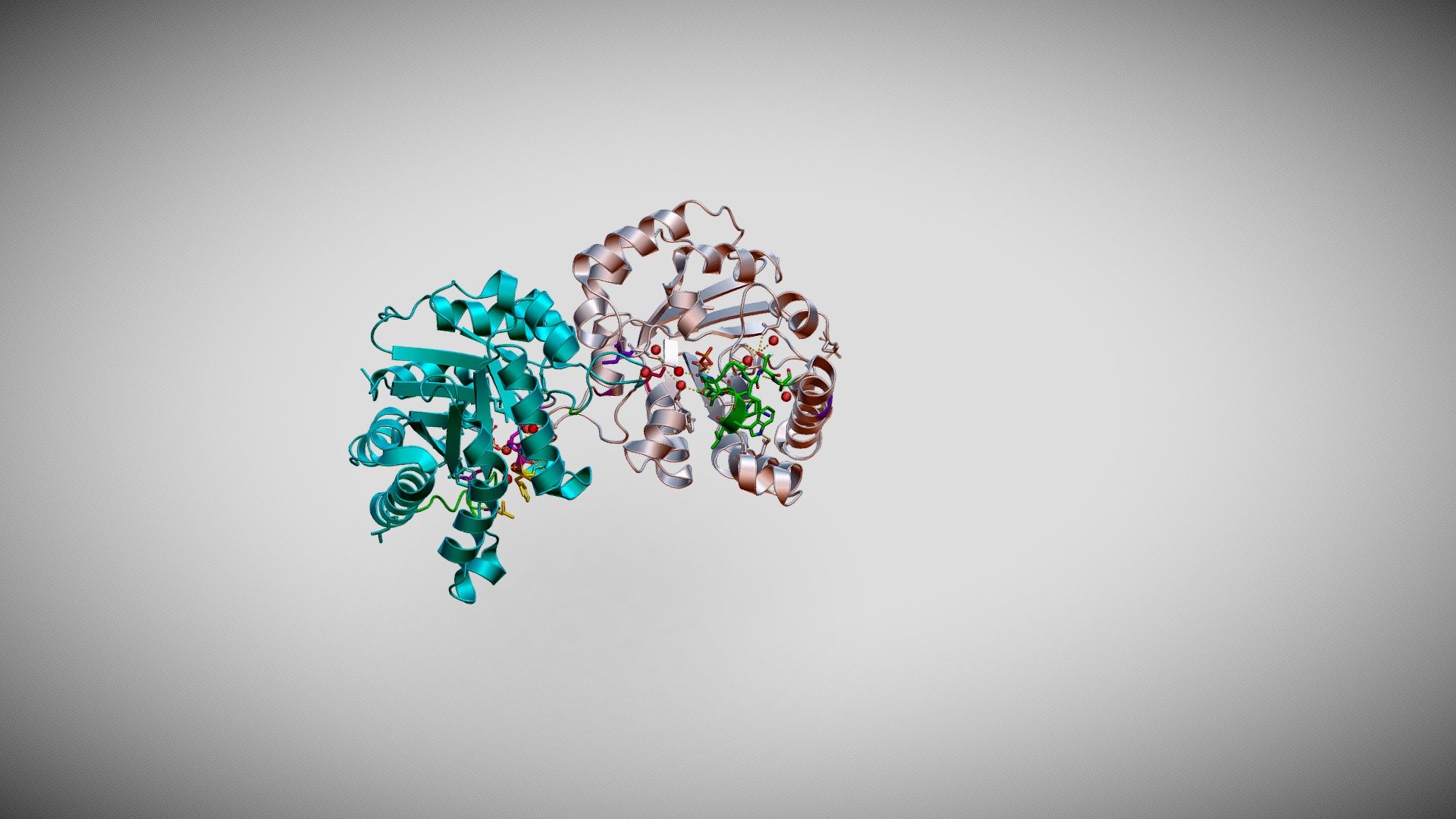 Plasmodium falciparum TPI Enzyme - 3D model by jaypaku [429ceed ...