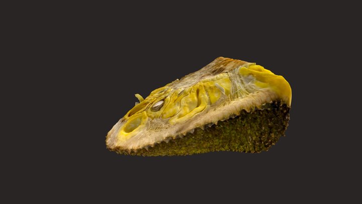 Jackfruit 3D models - Sketchfab