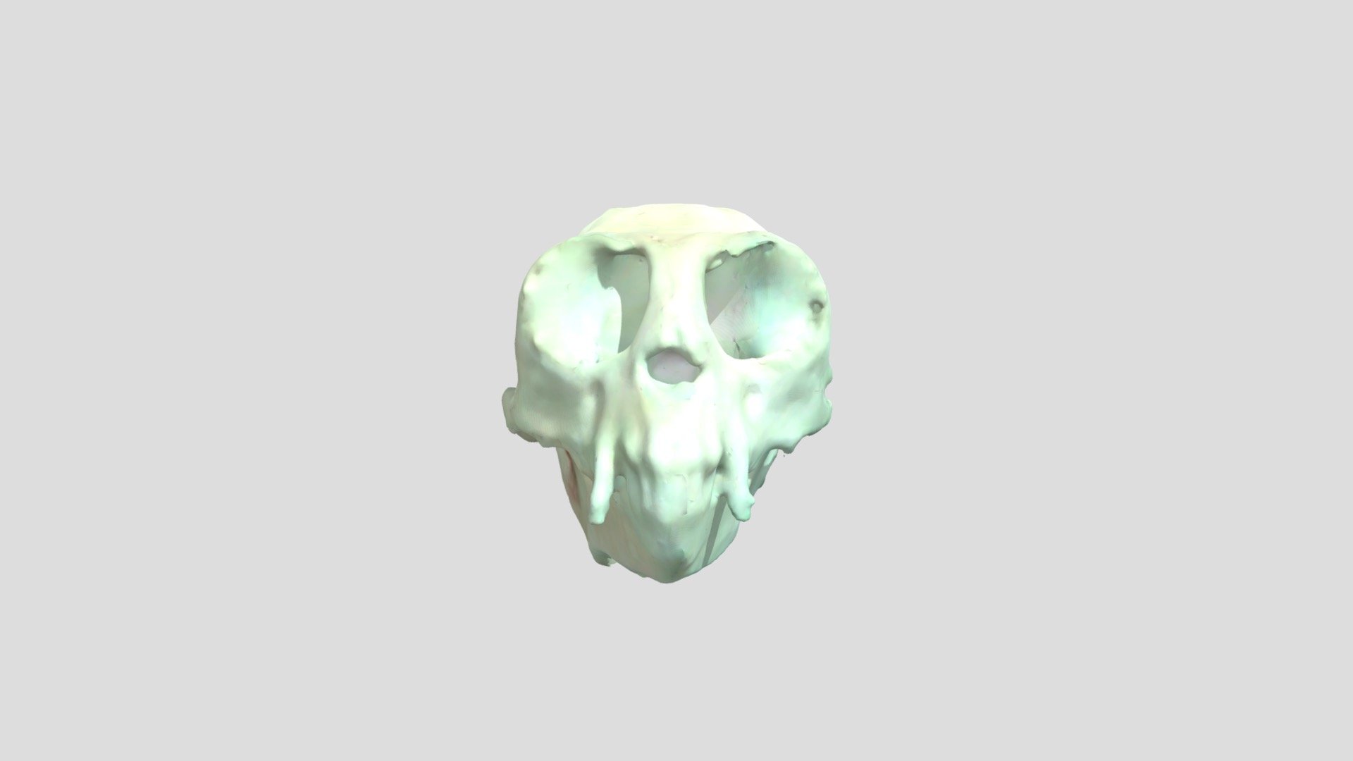 Common Marmoset - 3D model by Online Learning Media Studio (@olapeditor ...