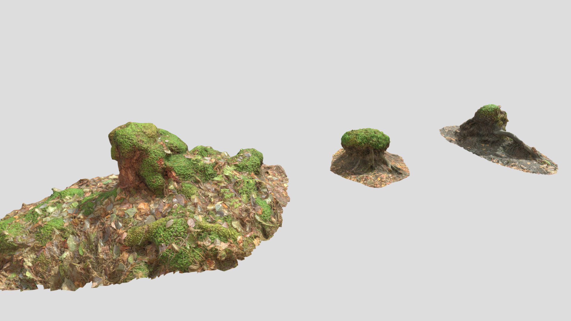 Swamp Tree Moss Stumps Scan - Buy Royalty Free 3D model by Per's Scan ...