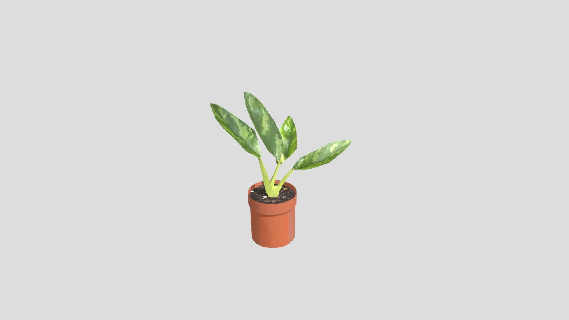 plant - Download Free 3D model by Jaylie [42b0cff] - Sketchfab