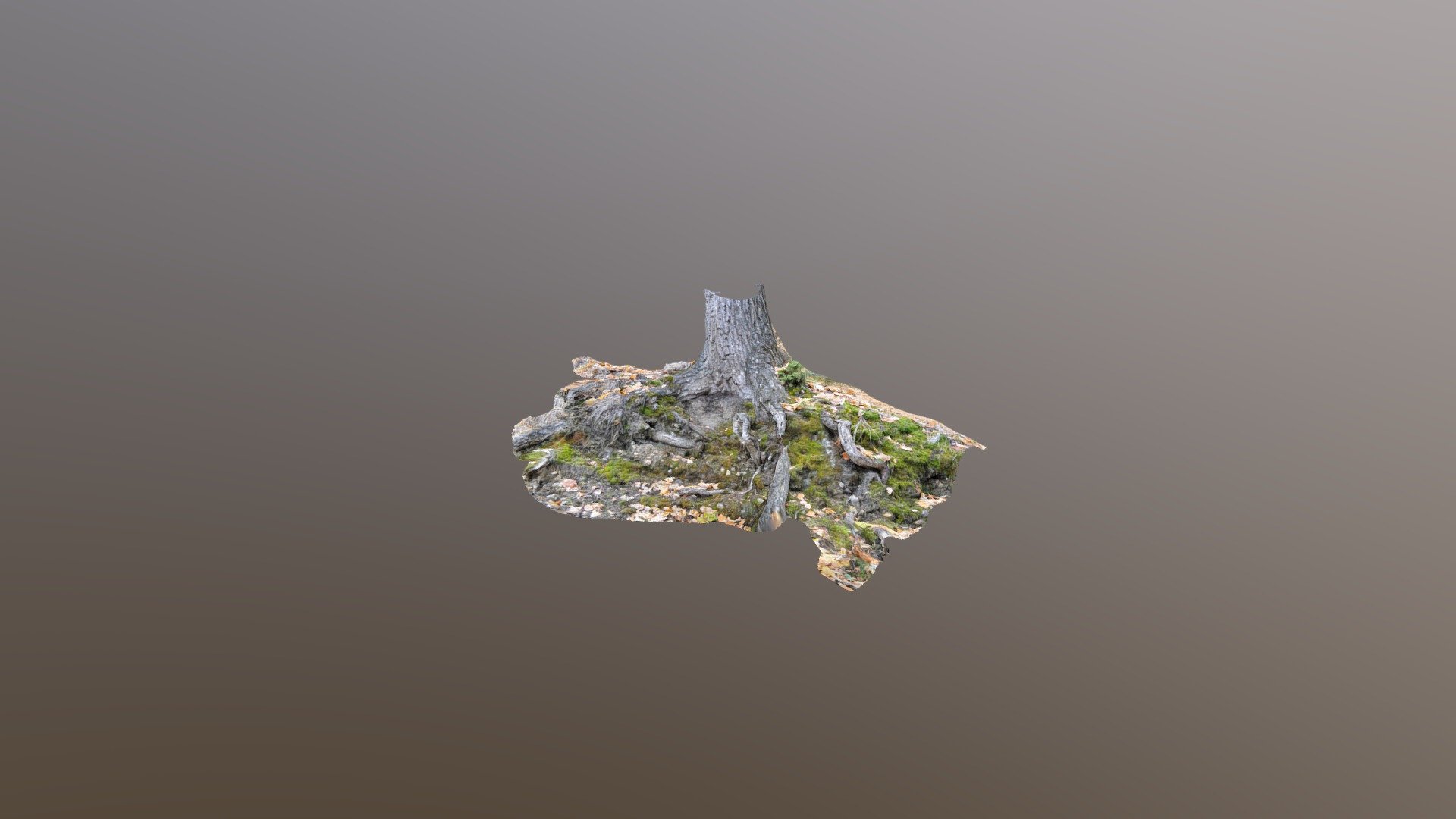 Cool Tree HD Reduced - 3D model by flinthoward [42b7054] - Sketchfab