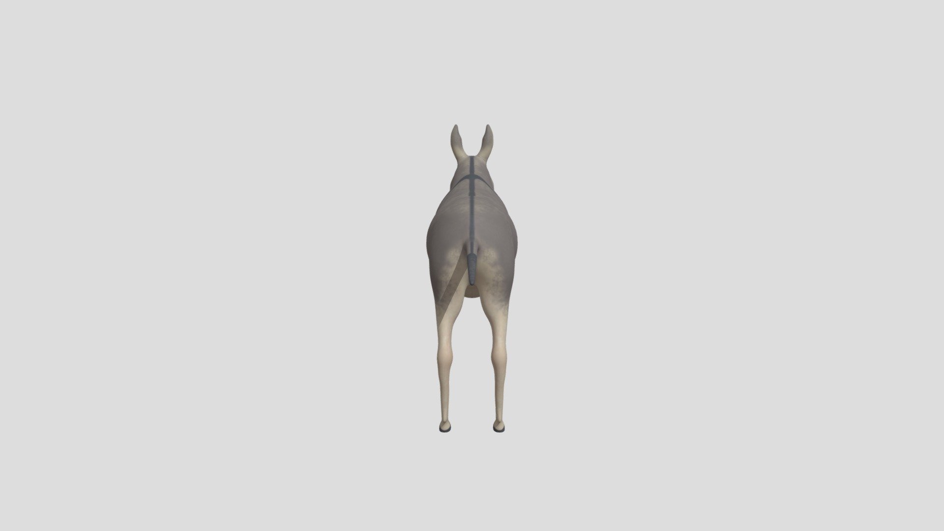 Donkey - 3D model by TheOakSaint [42b96f7] - Sketchfab