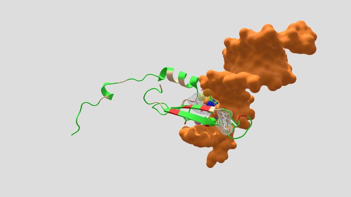 Proteinstructure 3D models - Sketchfab