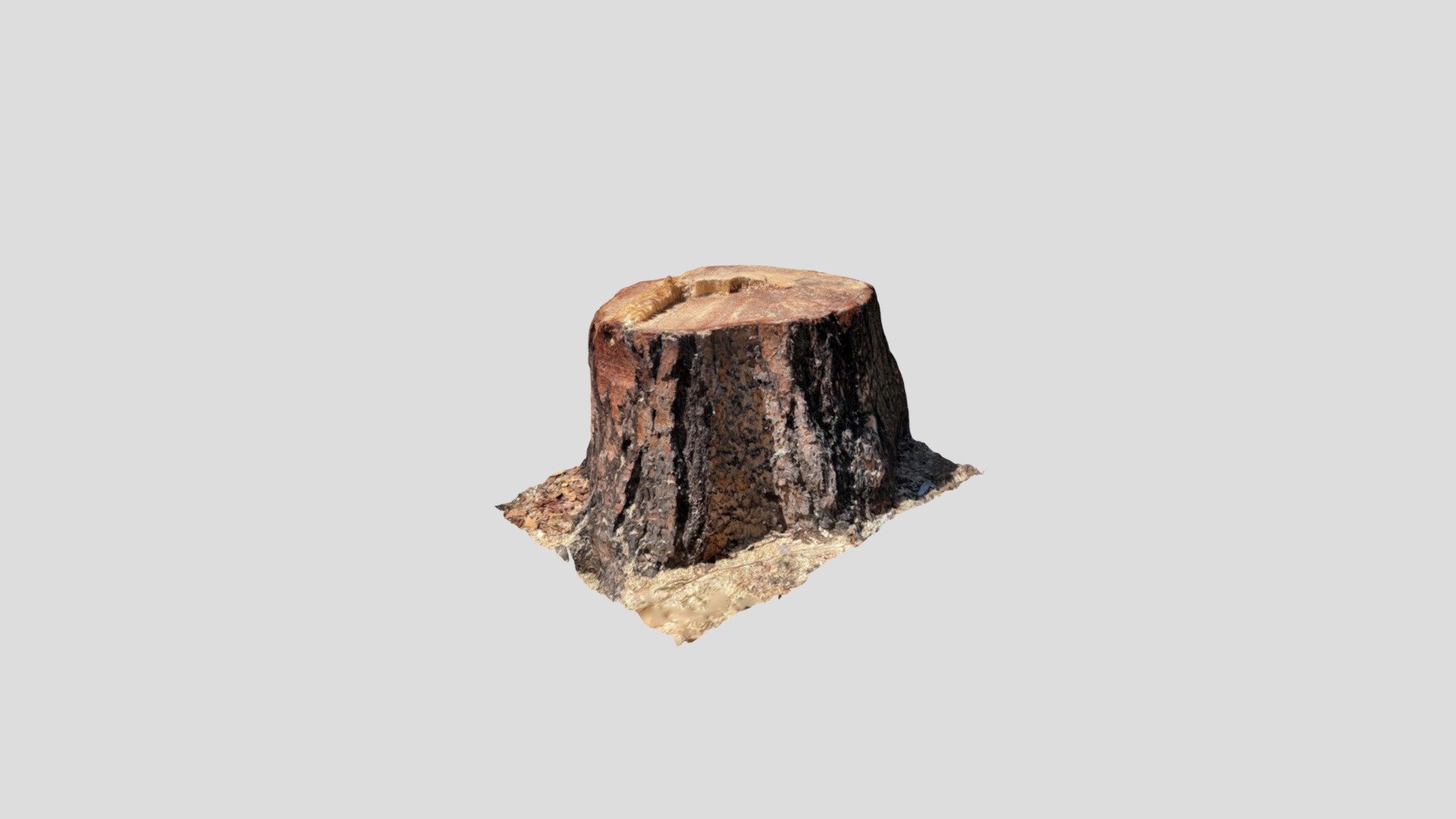 Tree Stump 001 - Download Free 3D model by dhoffman [42c5062] - Sketchfab