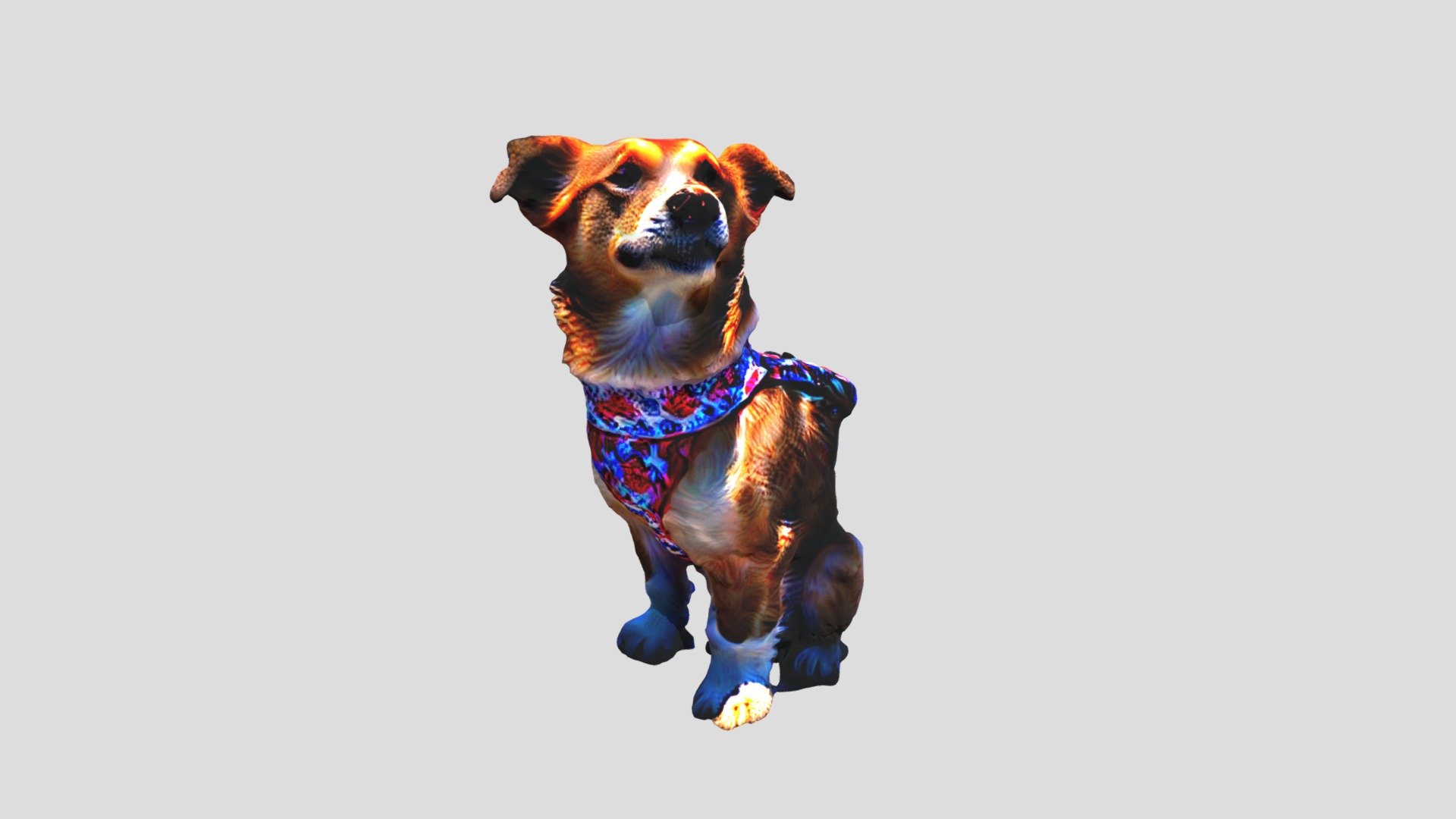 My sweet dog - 3D model by JoanaBr [42cec67] - Sketchfab