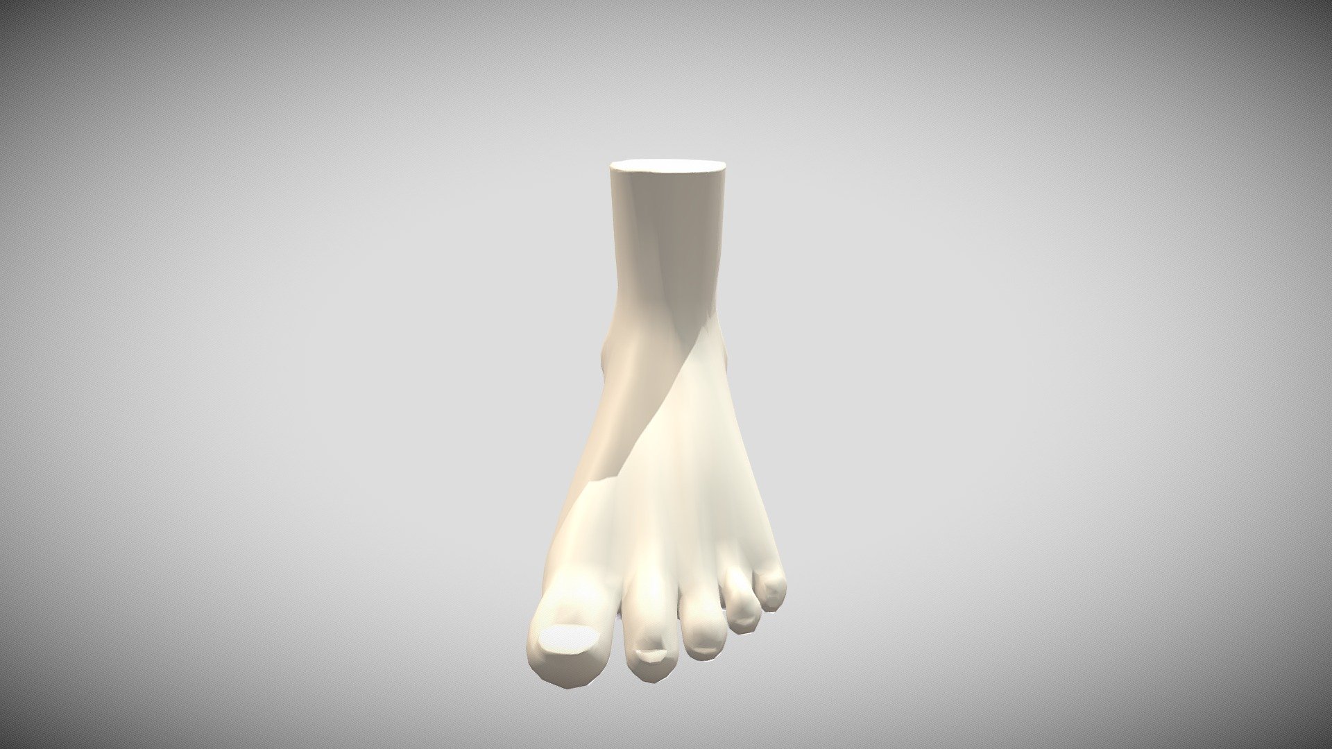 Foot - Download Free 3D model by niamhmundy5 [42d03f9] - Sketchfab