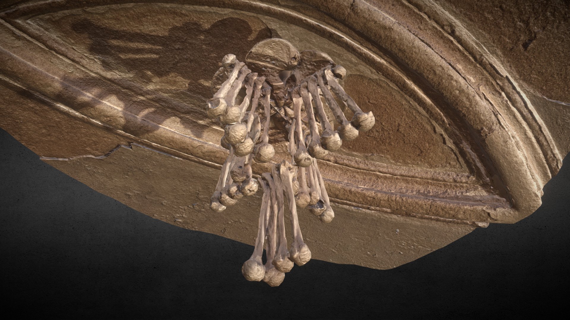 Sedlec Ossuary Skull and Bone Ceiling Decoration - 3D model by ...