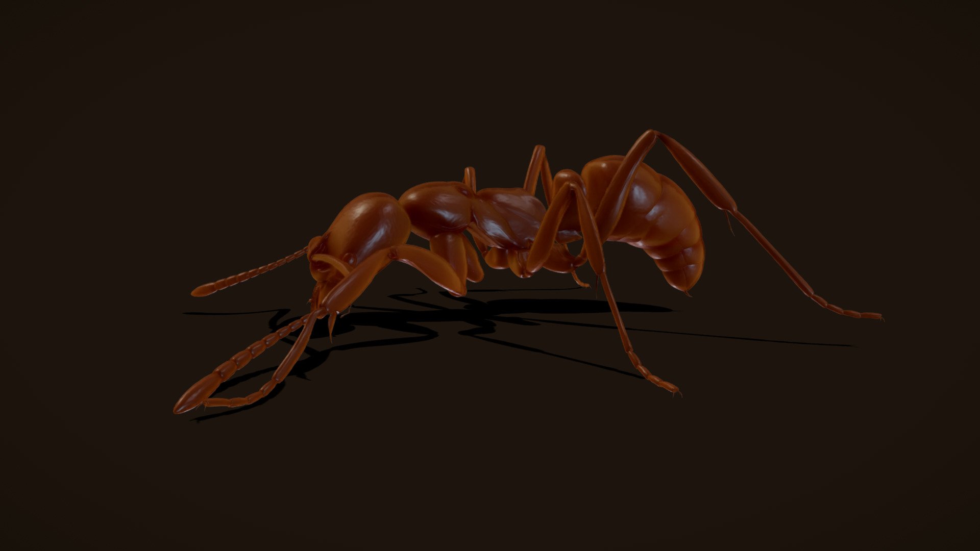 Ant Walk Test - 3D model by romullus [42d3f7a] - Sketchfab
