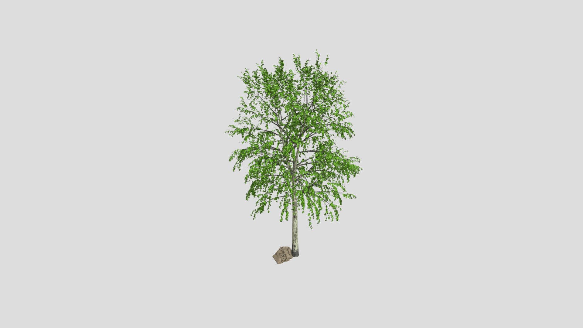 pohon besar - 3D model by sherlykc [42d763f] - Sketchfab