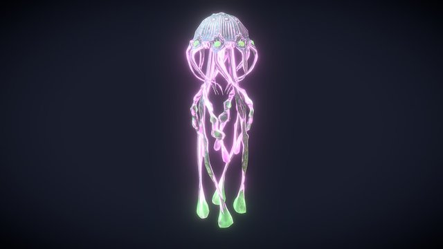 Sea-animals 3D models - Sketchfab