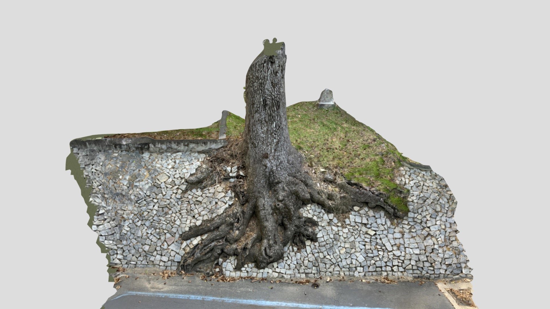 Roots Through a Retaining Wall (VCU_3D_7590) - Download Free 3D model ...